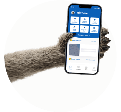 Compare Fuel Prices | Simples Fuel App | Compare the Market