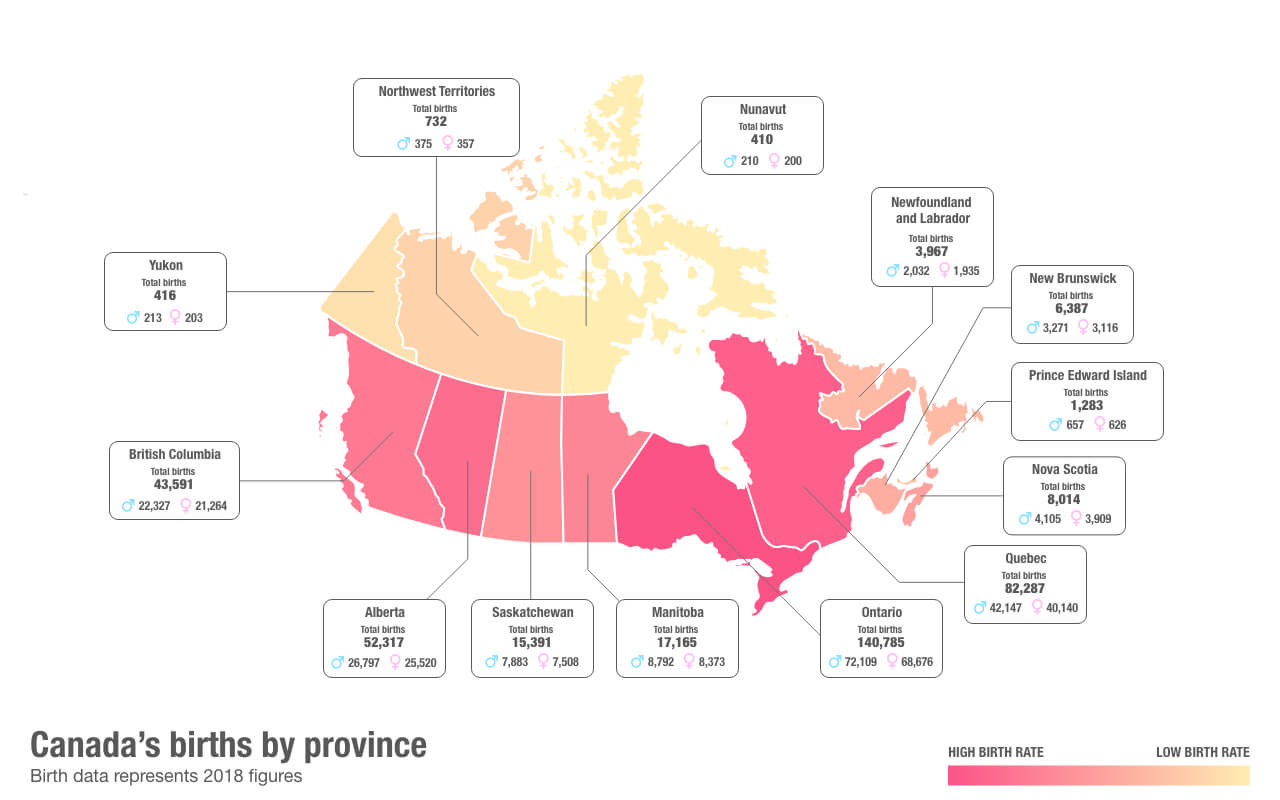Birth heat map by countries: Where are the baby boom capitals ...