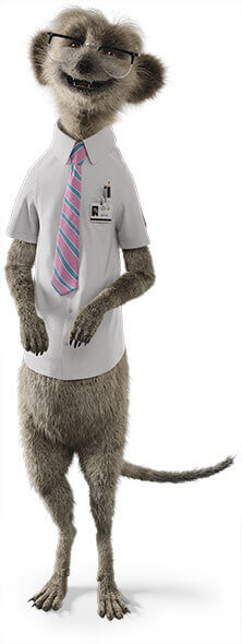 About Compare the Market | comparethemarket.com.au