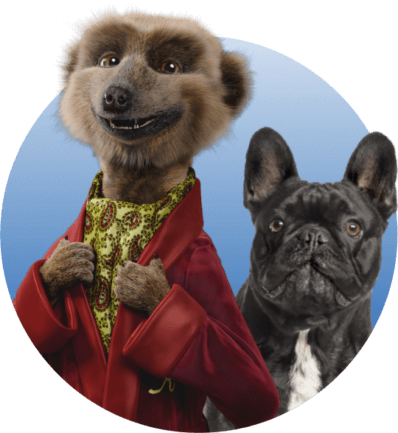 Compare pet insurance | Compare the market