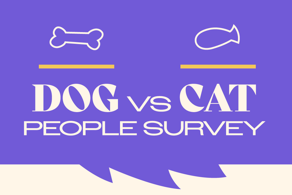 Dog vs cat people: The definitive survey | Compare the Market