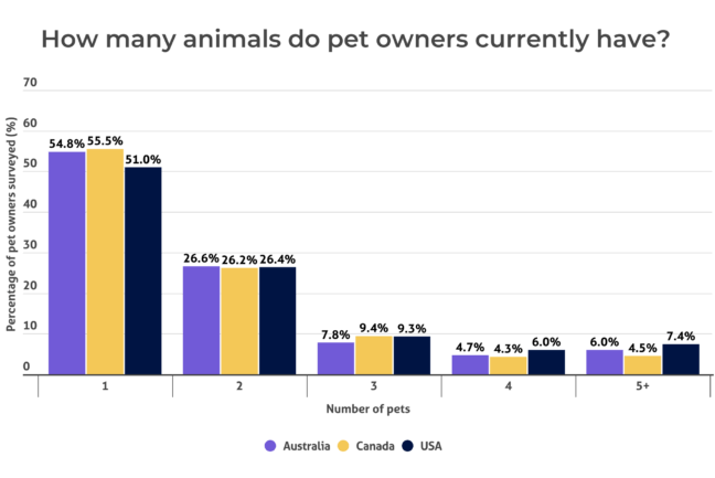 Dog vs cat people: The definitive survey | Compare the Market