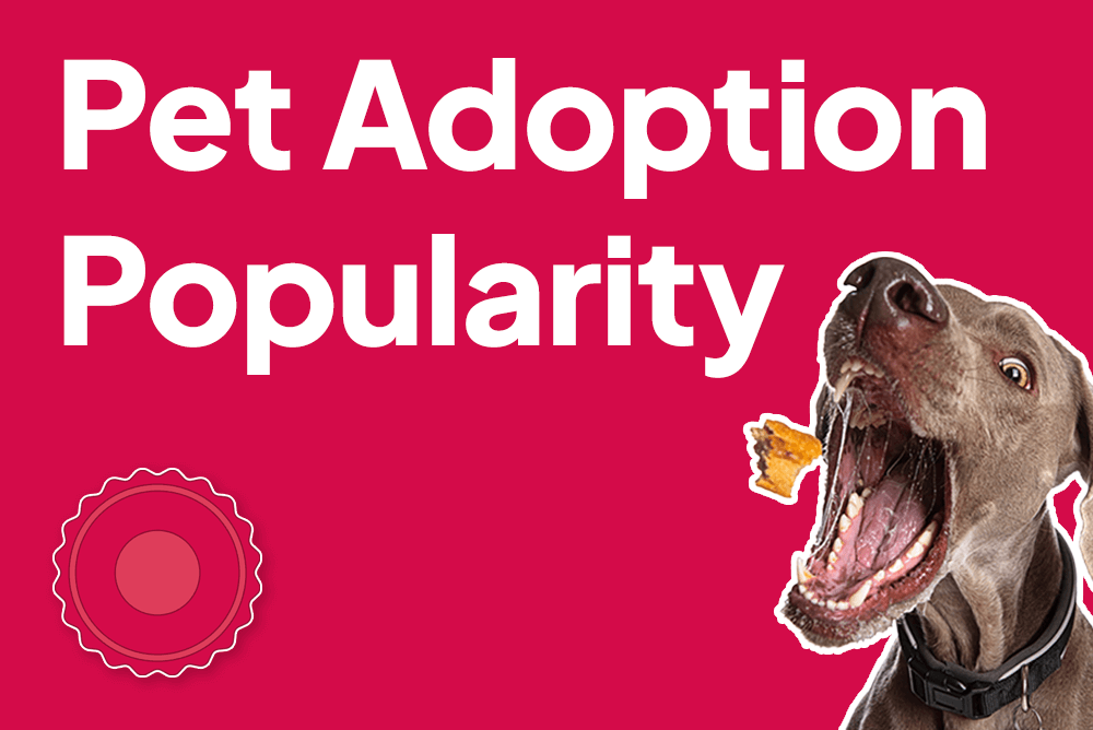 How many pet owners adopt their pets? | Compare the Market