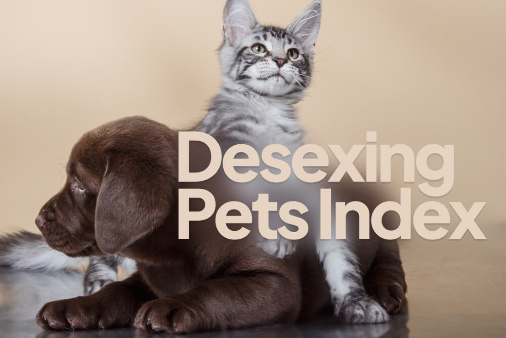 Desexing Pets Index | Compare the Market AU