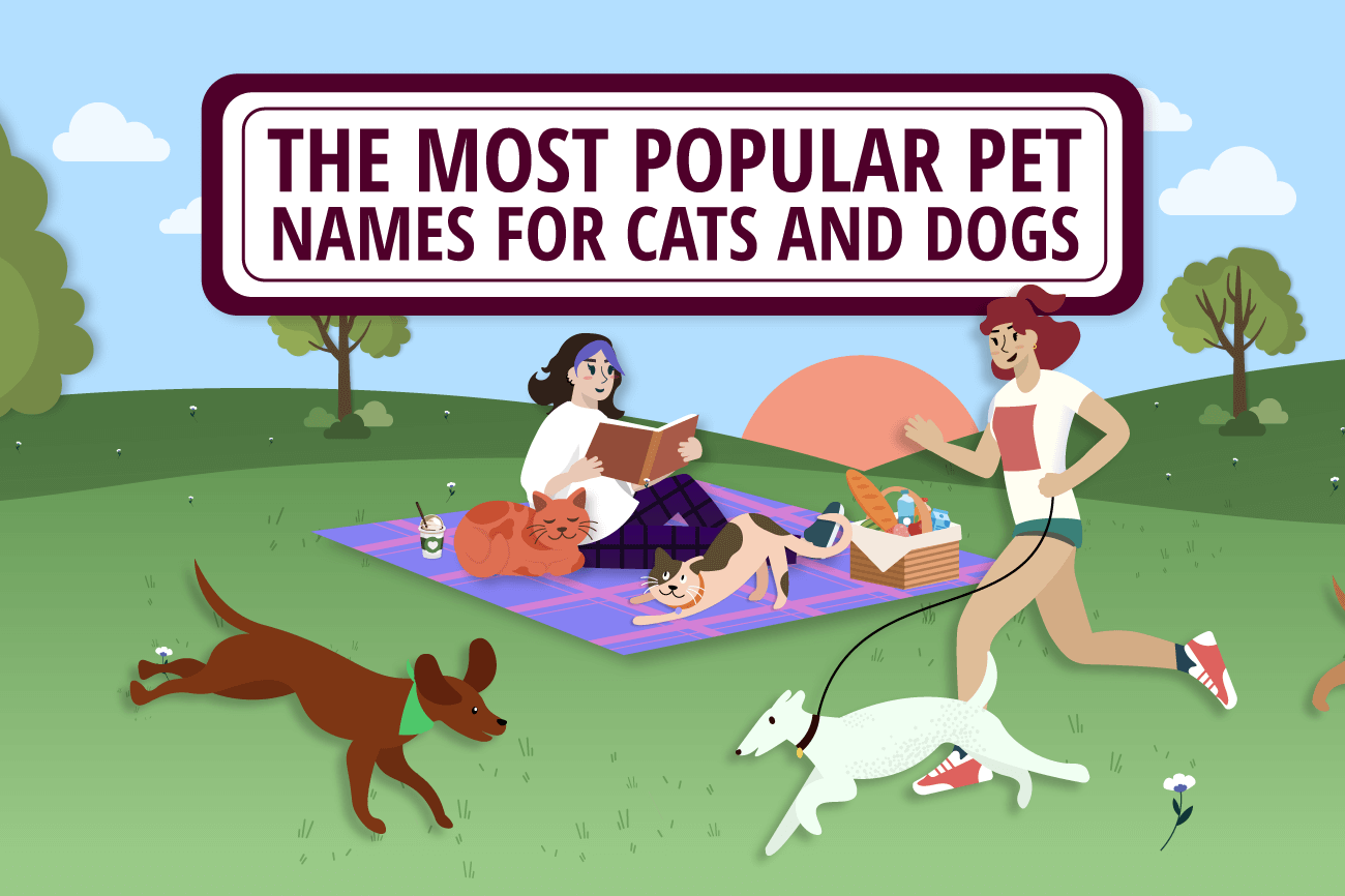 Most Popular Pet Names in 2025 | Compare the Market AU