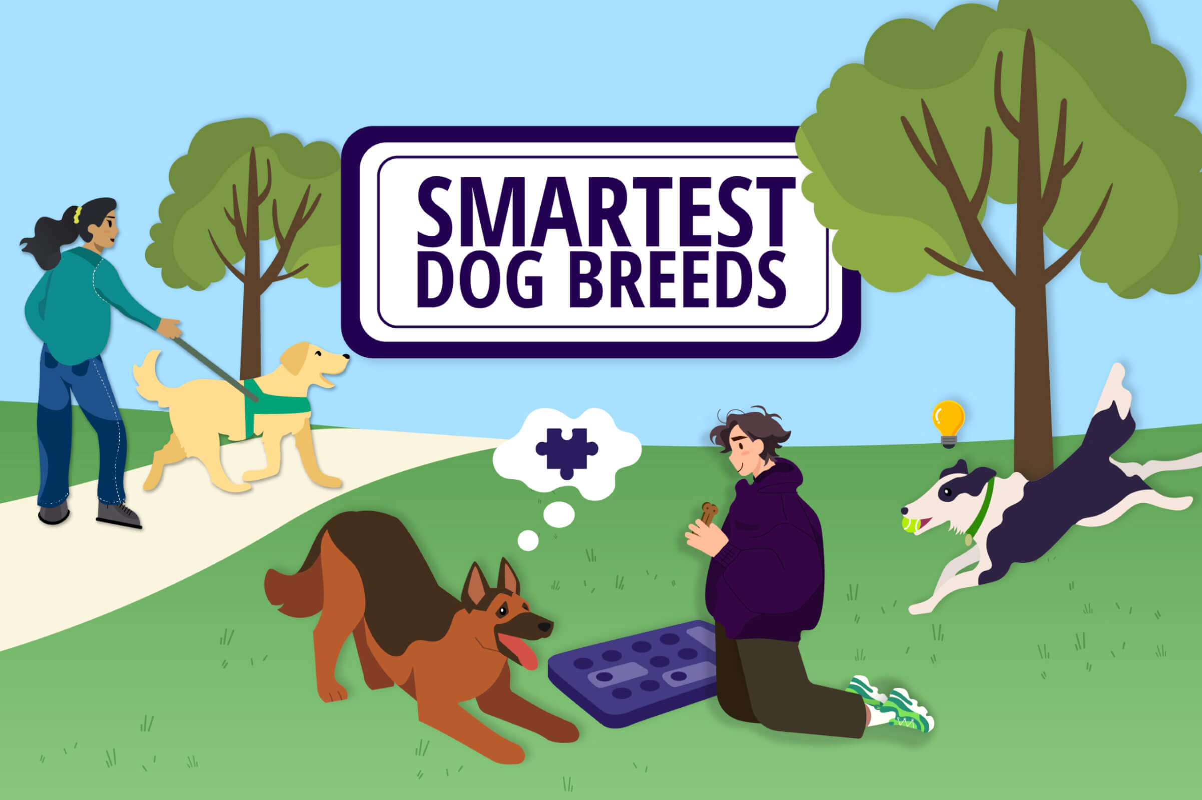 The Smartest Dog Breeds, Ranked | Compare the Market AU