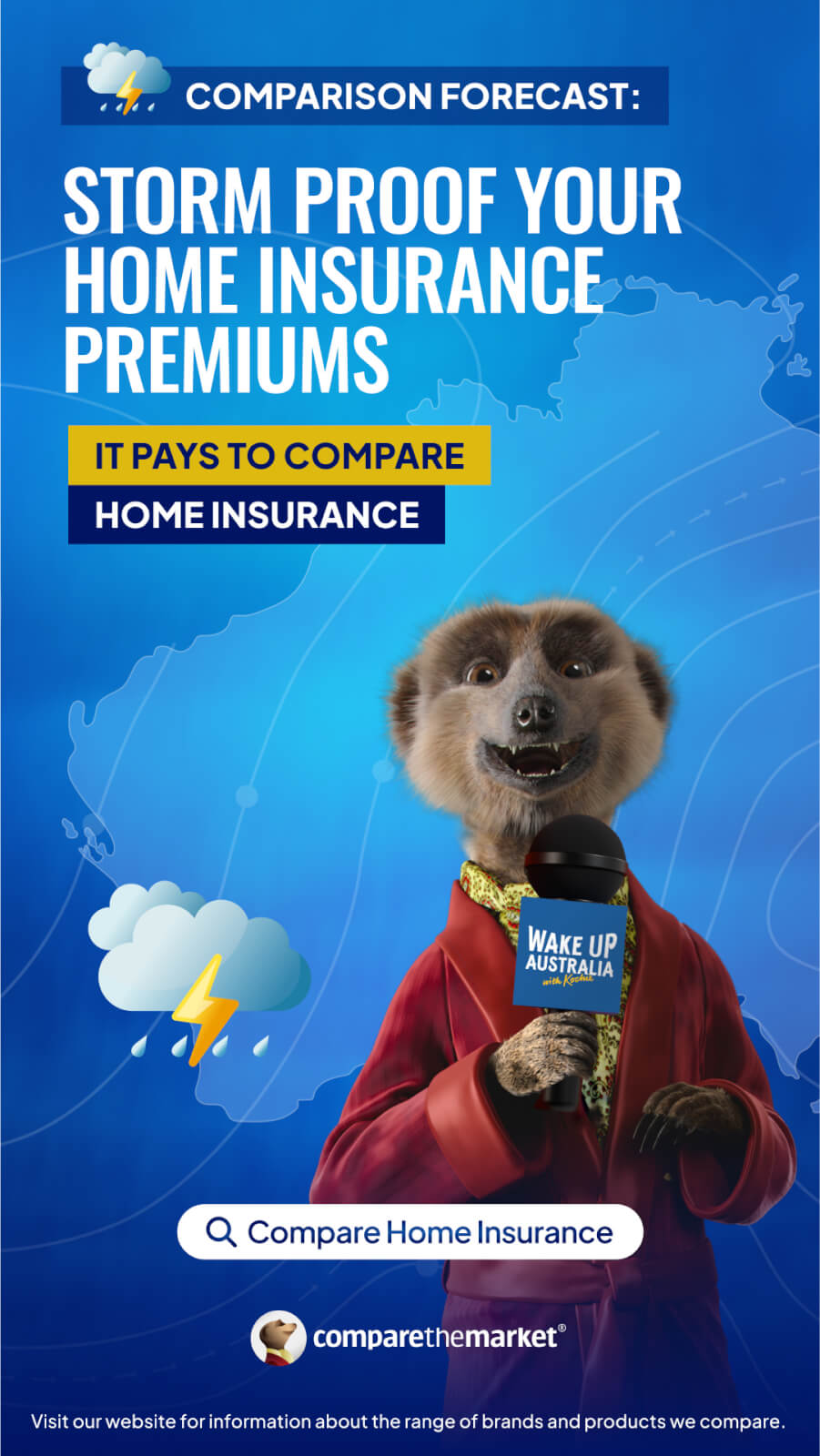 Cloudy with a chance of meerkats! Compare the Market delivers weather ...